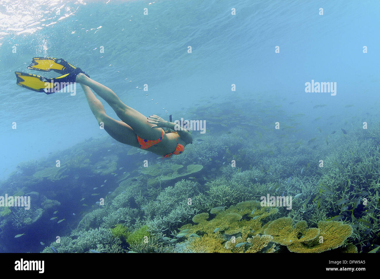 Bikini atoll marshall islands hi-res stock photography and images - Alamy