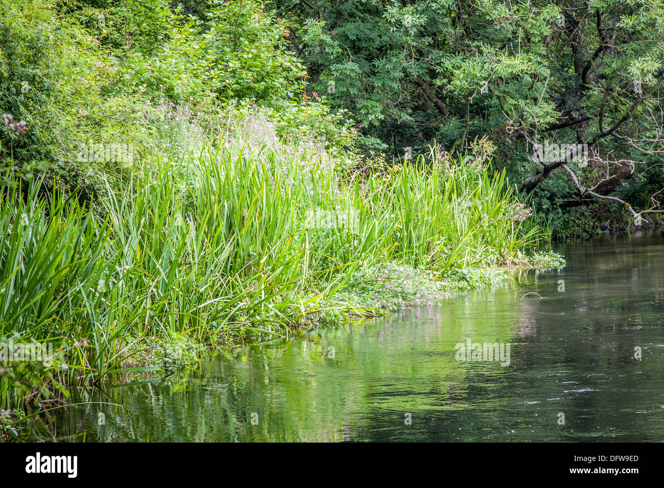 Calm reflection on the water Stock Photo - Alamy