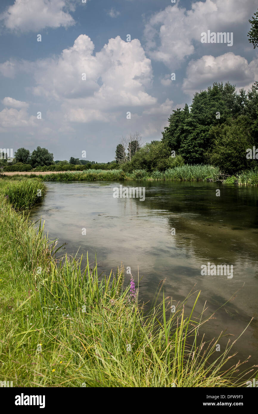 River Itchen in Hampshire countryside Stock Photo - Alamy