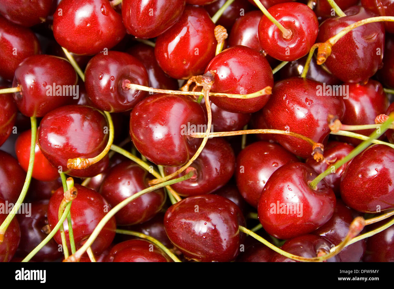 Fresh washed hi-res stock photography and images - Alamy