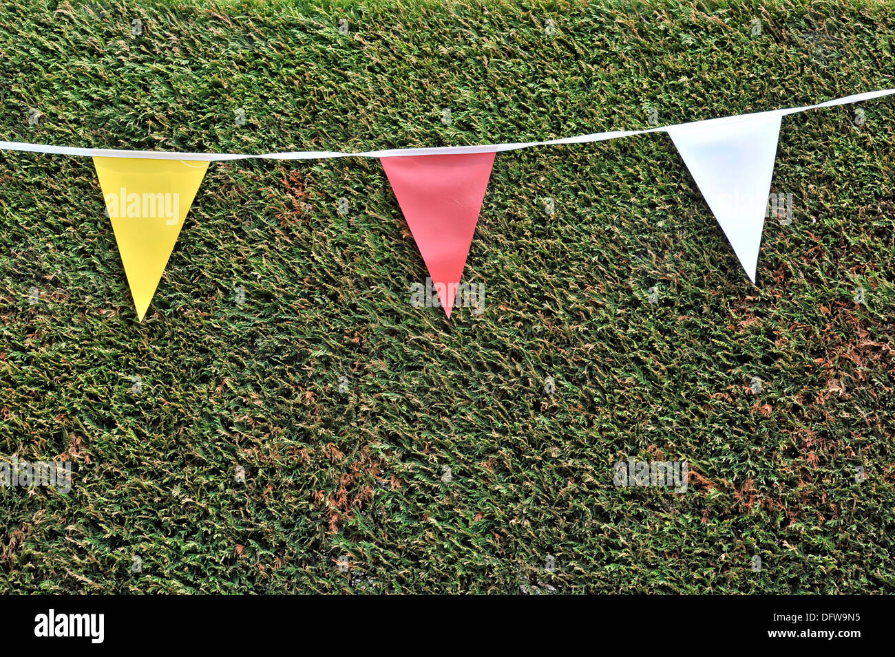 Privit hi-res stock photography and images - Alamy