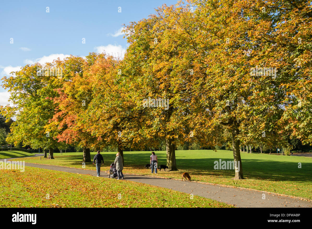 Ropner park hi-res stock photography and images - Alamy