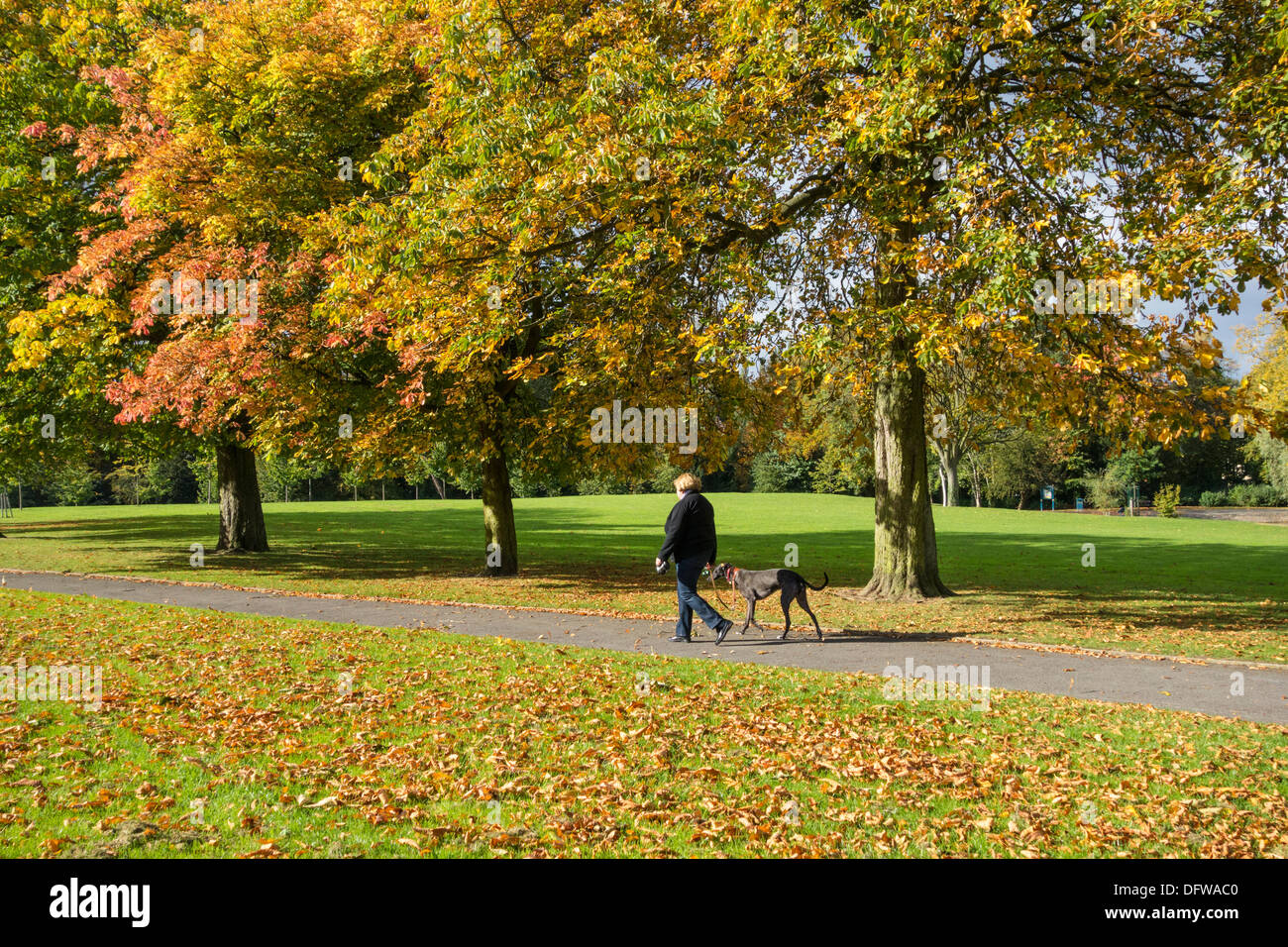 Ropner park hi-res stock photography and images - Alamy