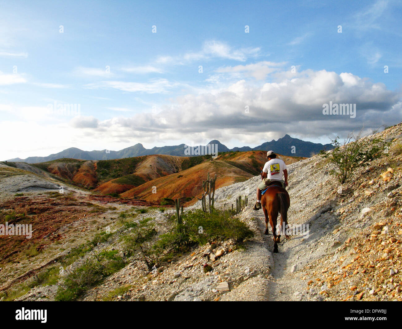 Earth summit horse hi-res stock photography and images - Alamy