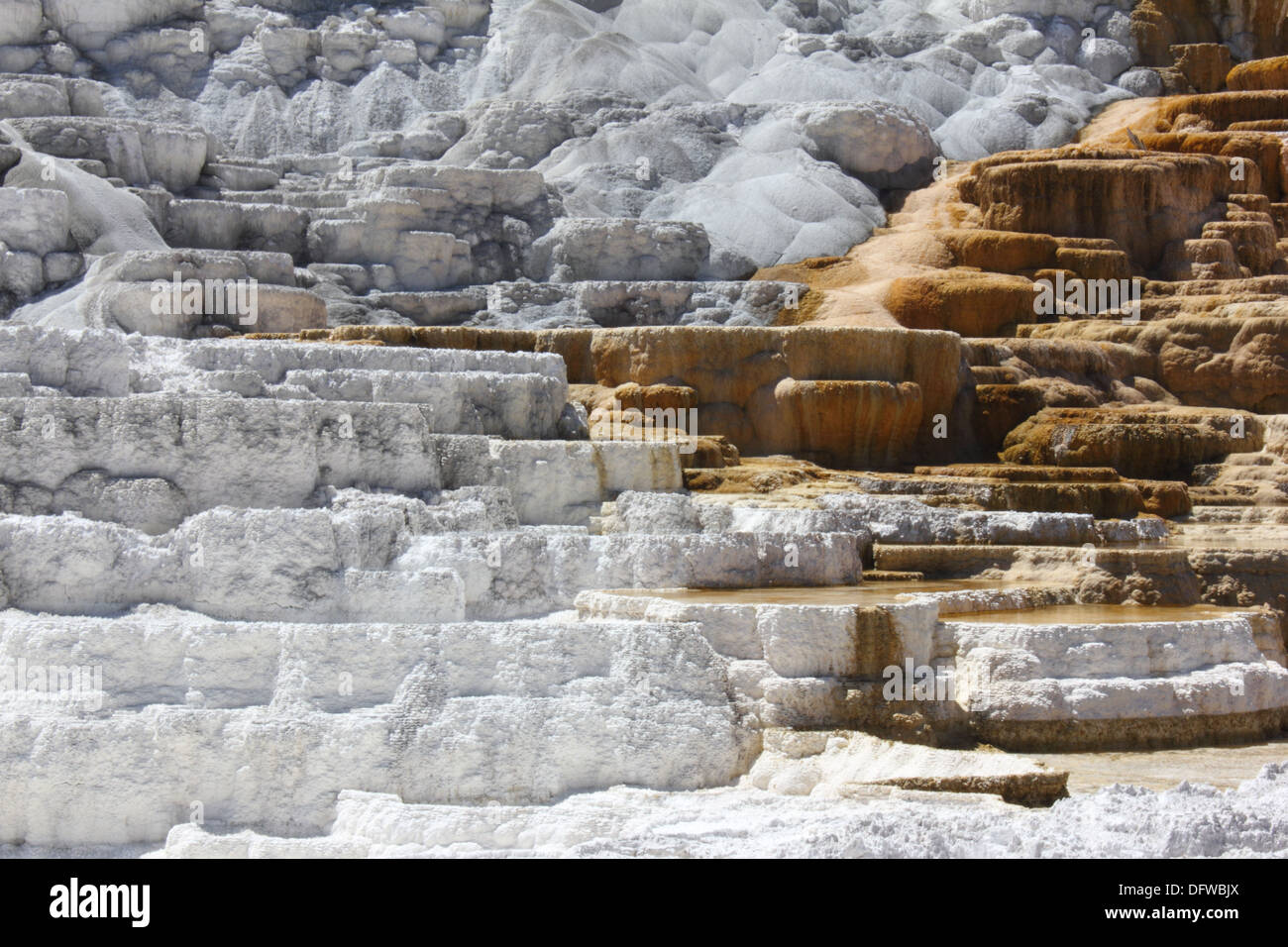 Travertine terraces detail hi-res stock photography and images - Alamy