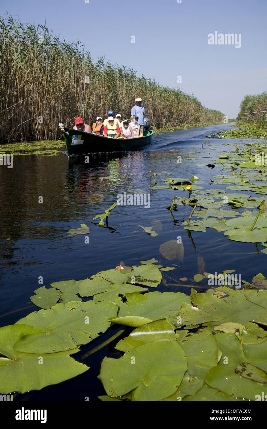 Delta del danubio, romania hi-res stock photography and images - Alamy