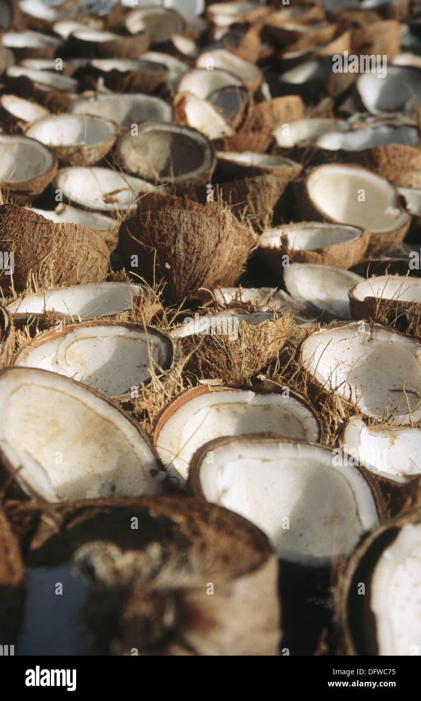 Coconut husked hi-res stock photography and images - Alamy