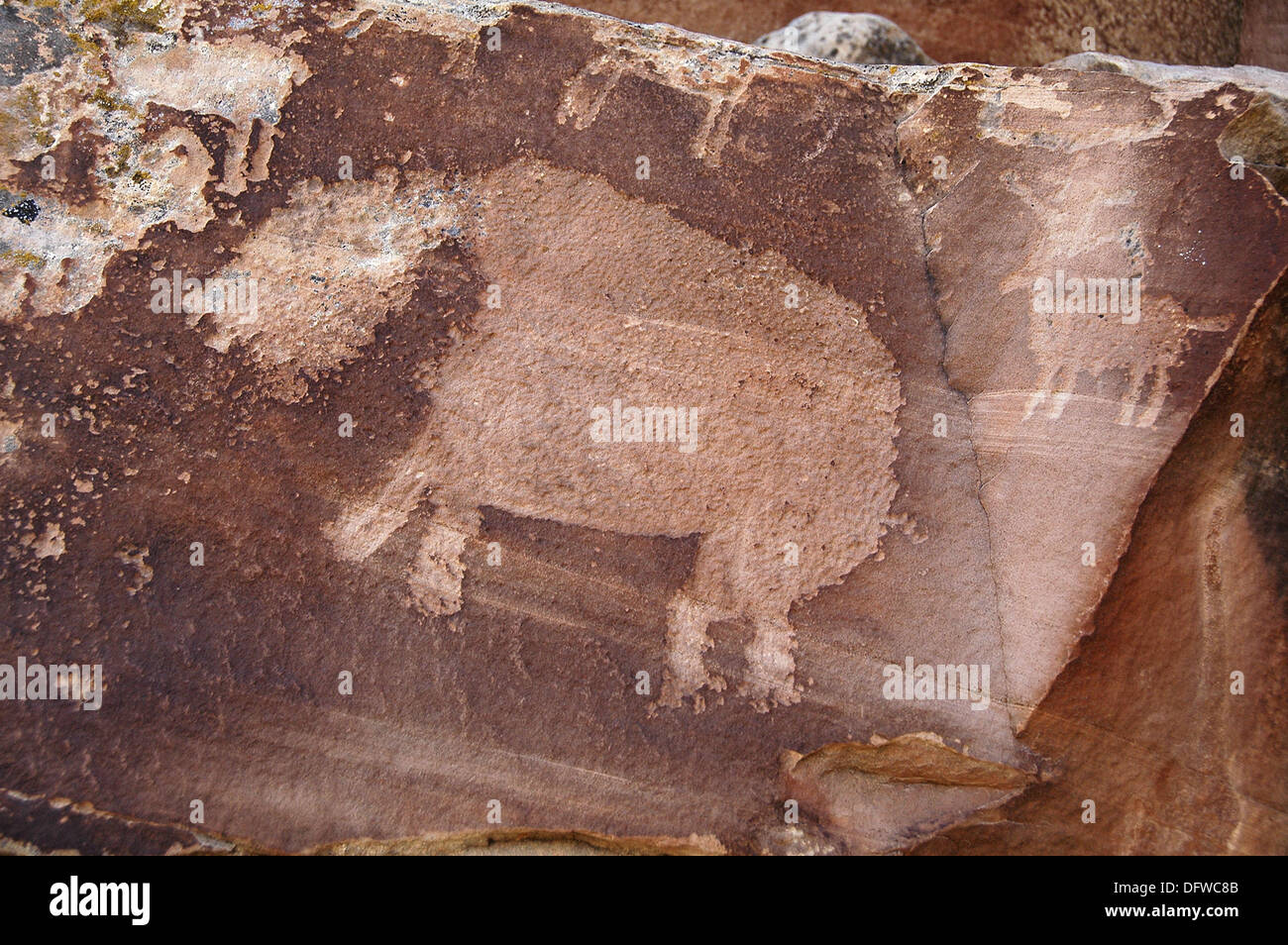 Mastodon animal hi-res stock photography and images - Alamy