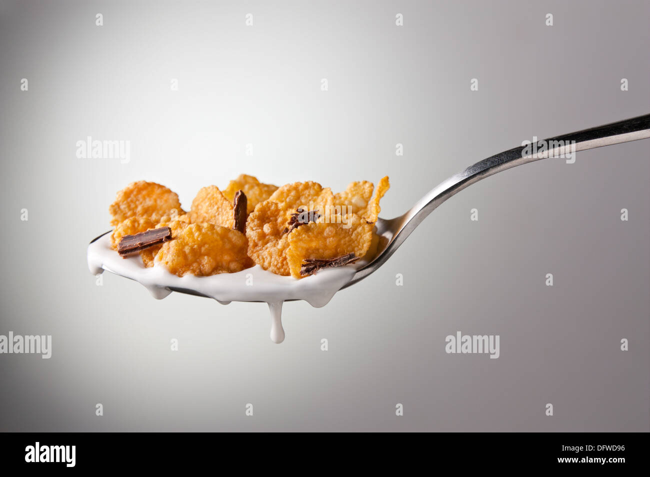 Corn flakes cereal on milk spoon Stock Photo - Alamy