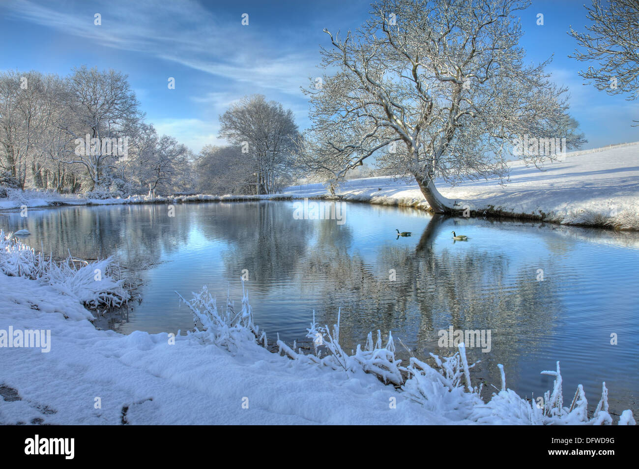 Reservoir worcestershire winter hi-res stock photography and images - Alamy