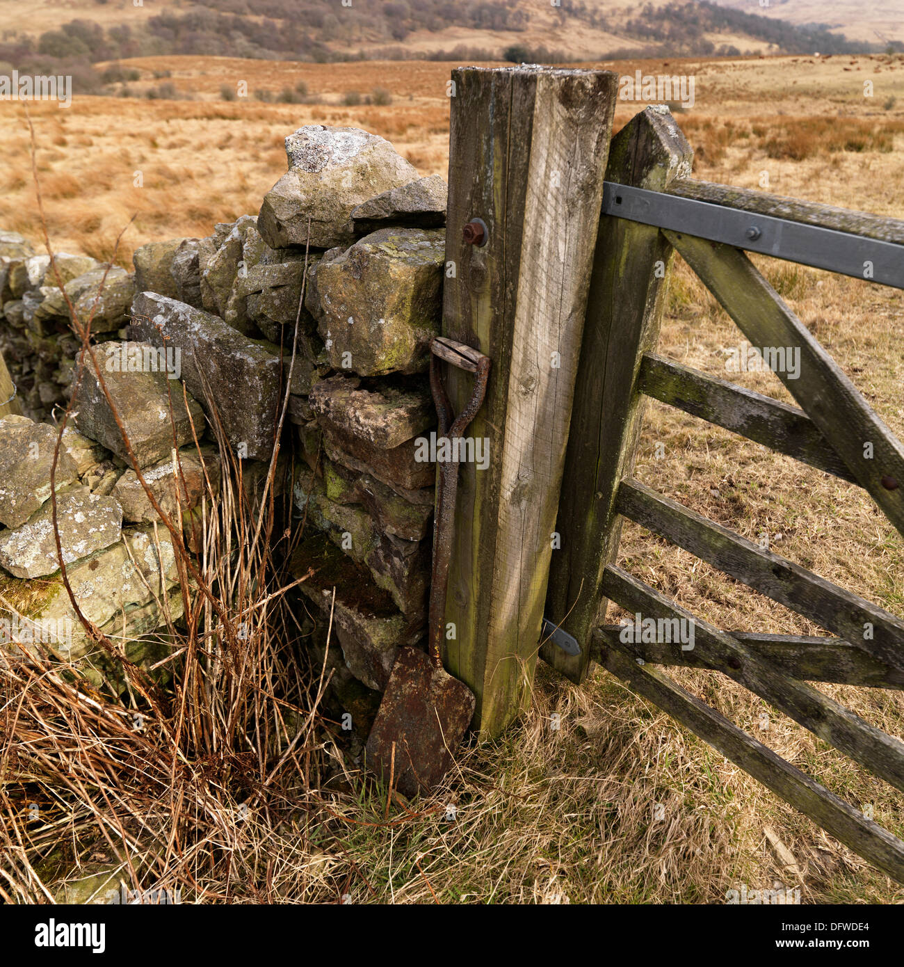 drystone wall and wooden gate rural Cumbria Stock Photo - Alamy