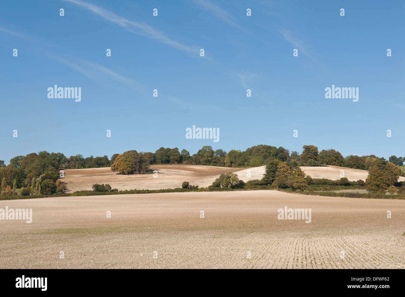 North Facing Slope High Resolution Stock Photography and Images - Alamy