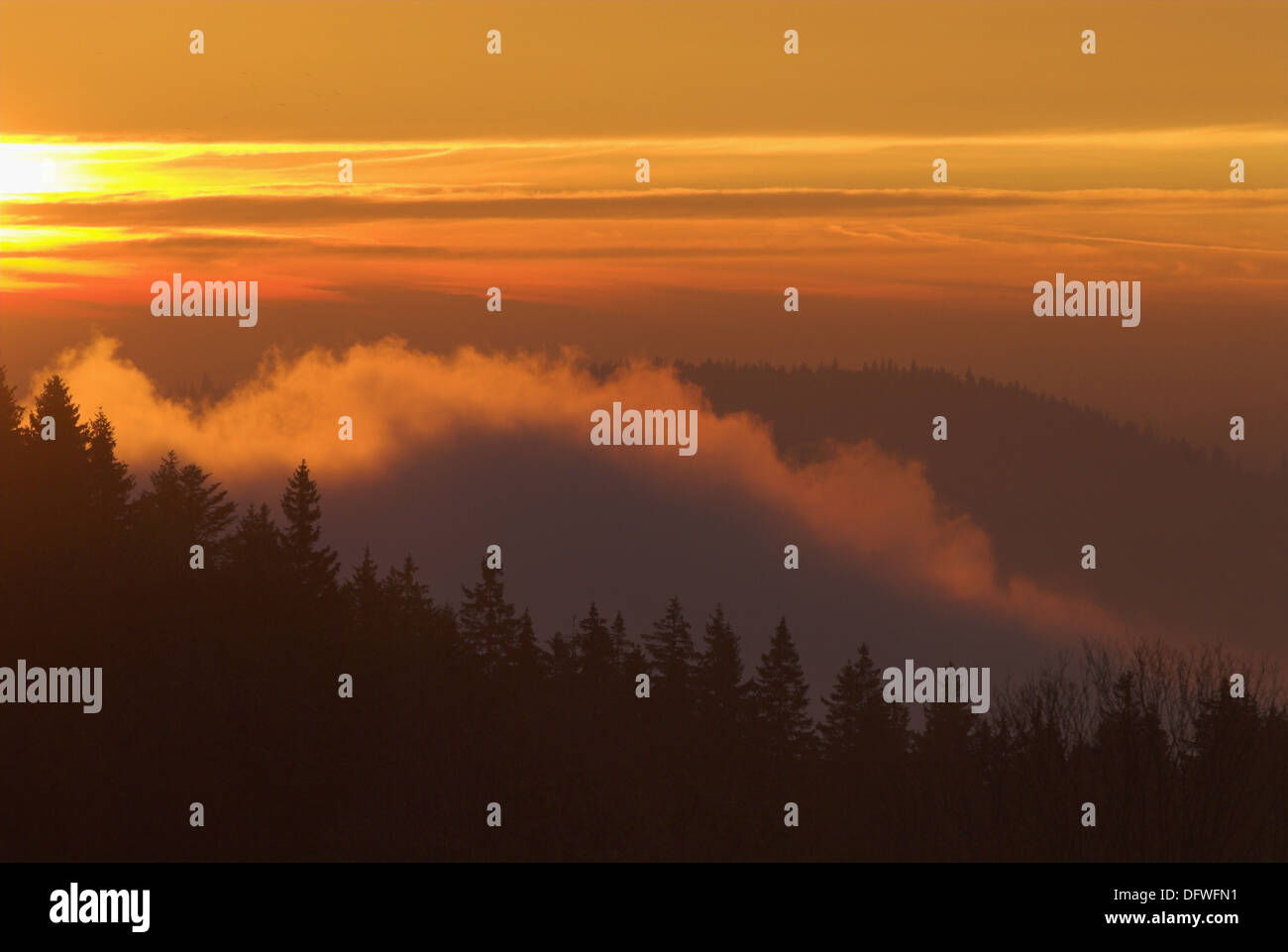 Bucina High Resolution Stock Photography and Images - Alamy