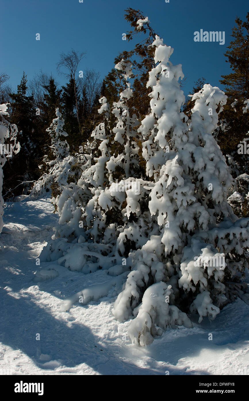 Winter landscape Bruce Peninsula National Park a UNESCO Biospere ...