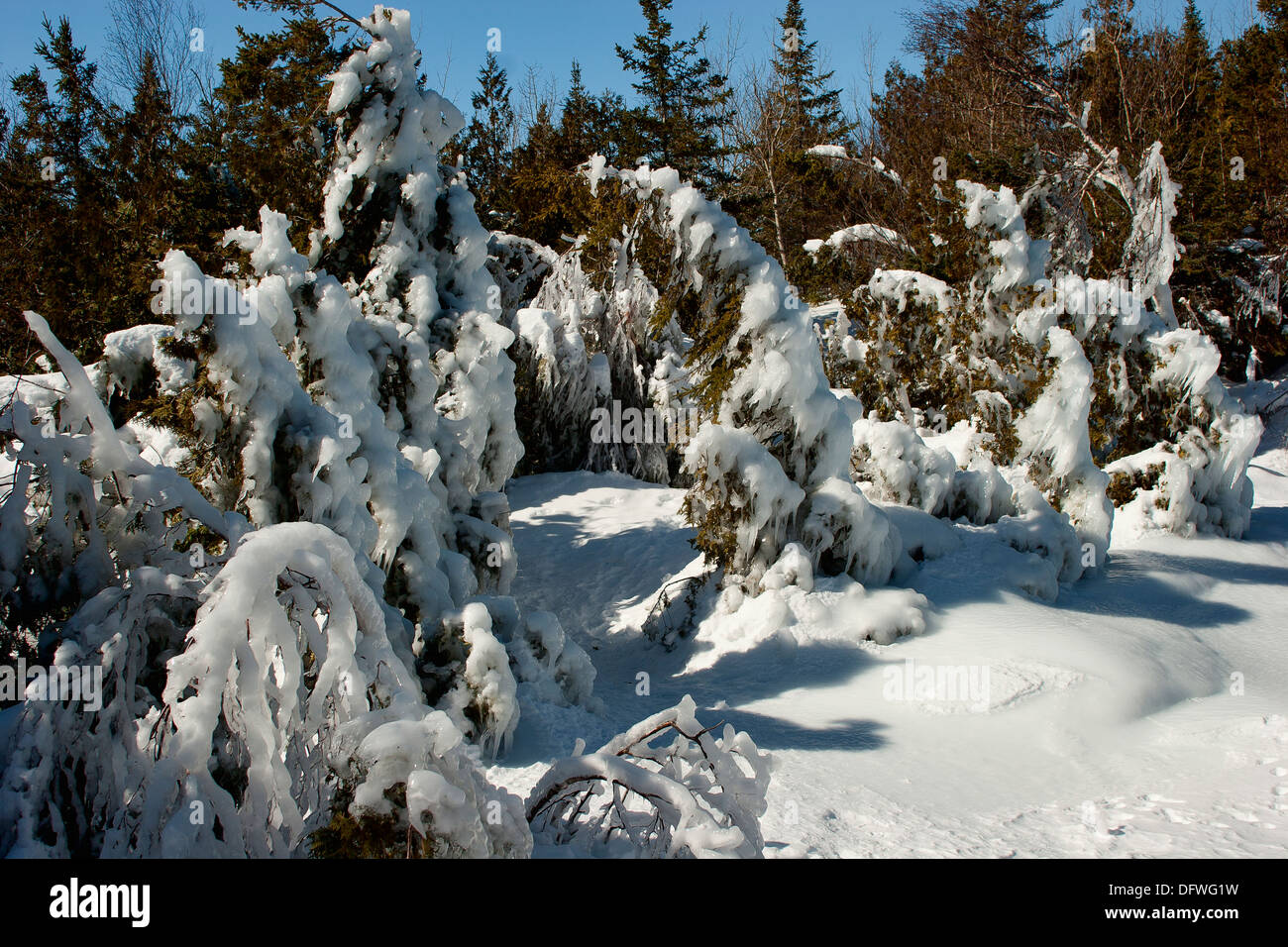 Winter landscape Bruce Peninsula National Park a UNESCO Biospere ...