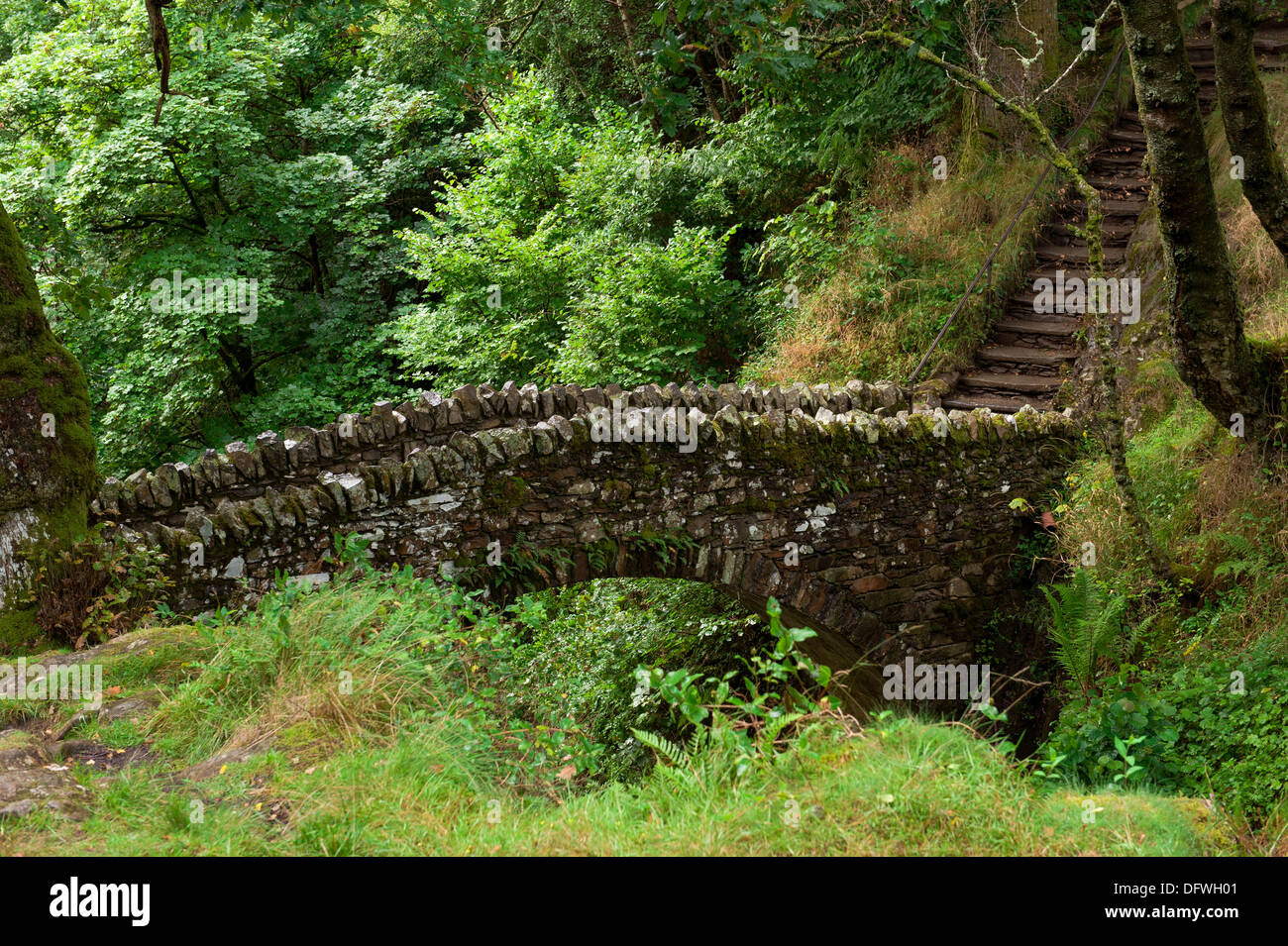 Steps bridge hi-res stock photography and images - Alamy