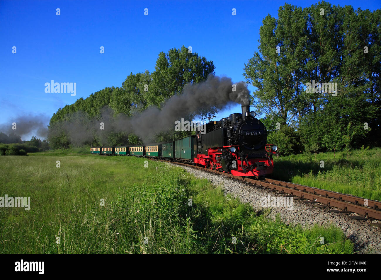 Steam train RASENDER ROLAND, Rushing Roland, at Serams, Ruegen Island ...