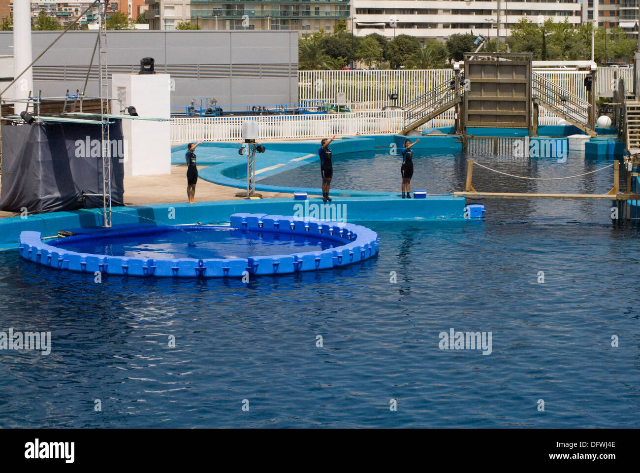 acrobatics with the dolphins performance at the Dolphinarium ,acrobats ...