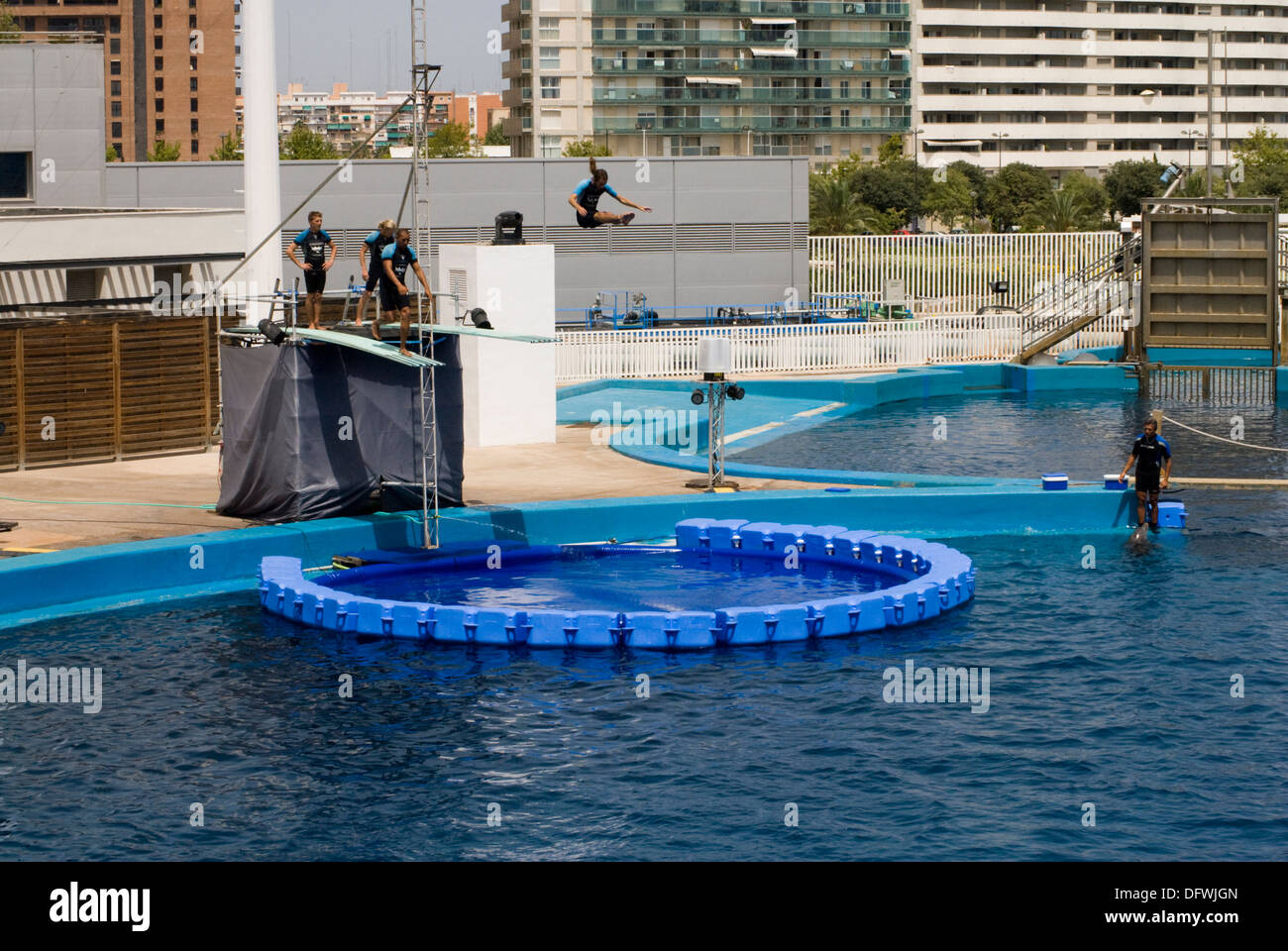 Dolphin performance hi-res stock photography and images - Alamy