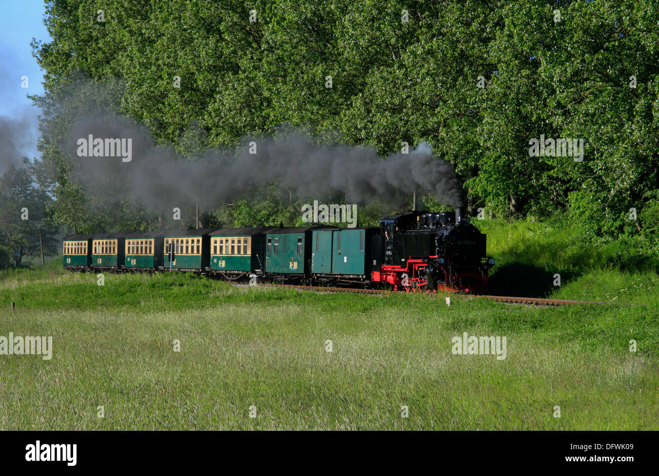 Steam train RASENDER ROLAND, Rushing Roland, at Serams, Ruegen Island ...
