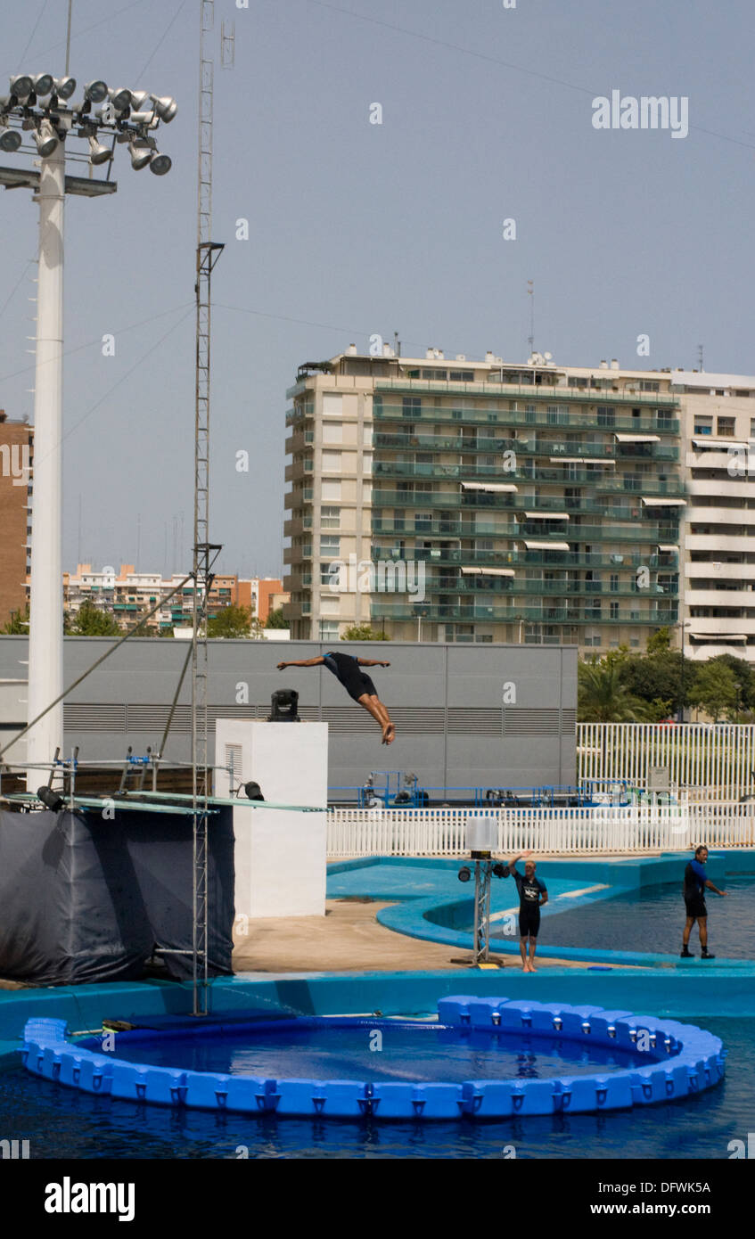 Acrobats use trampolines placed at different heights - the highest at ...