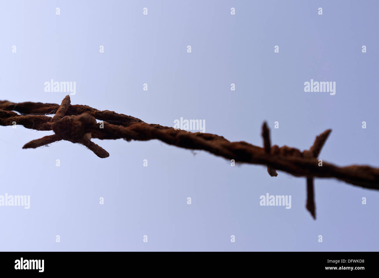 Strands of barbed wire Stock Photo - Alamy