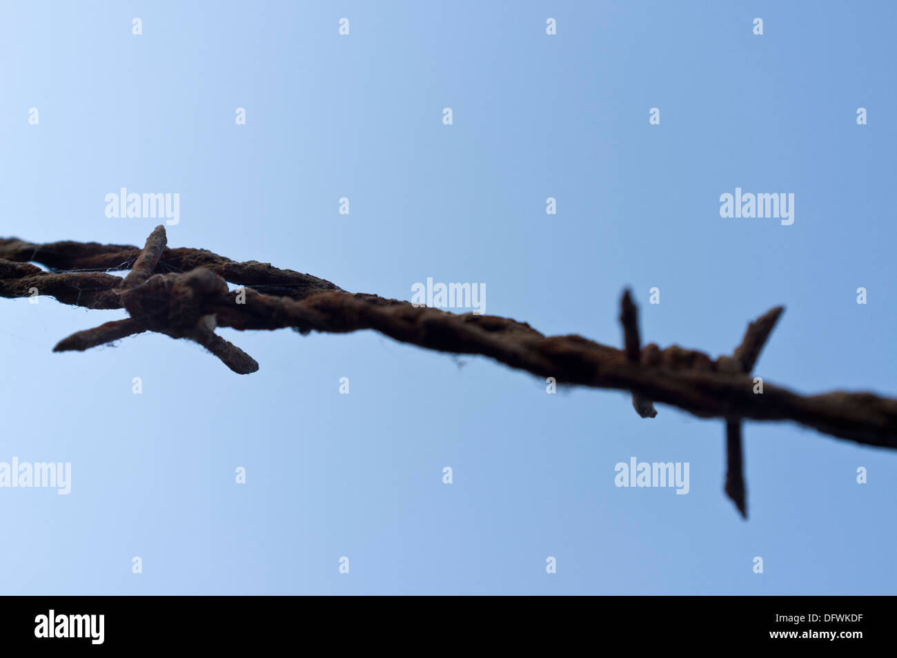 Strands of barbed wire hi-res stock photography and images - Alamy