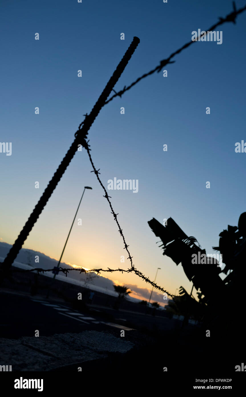 Strands of barbed wire Stock Photo - Alamy
