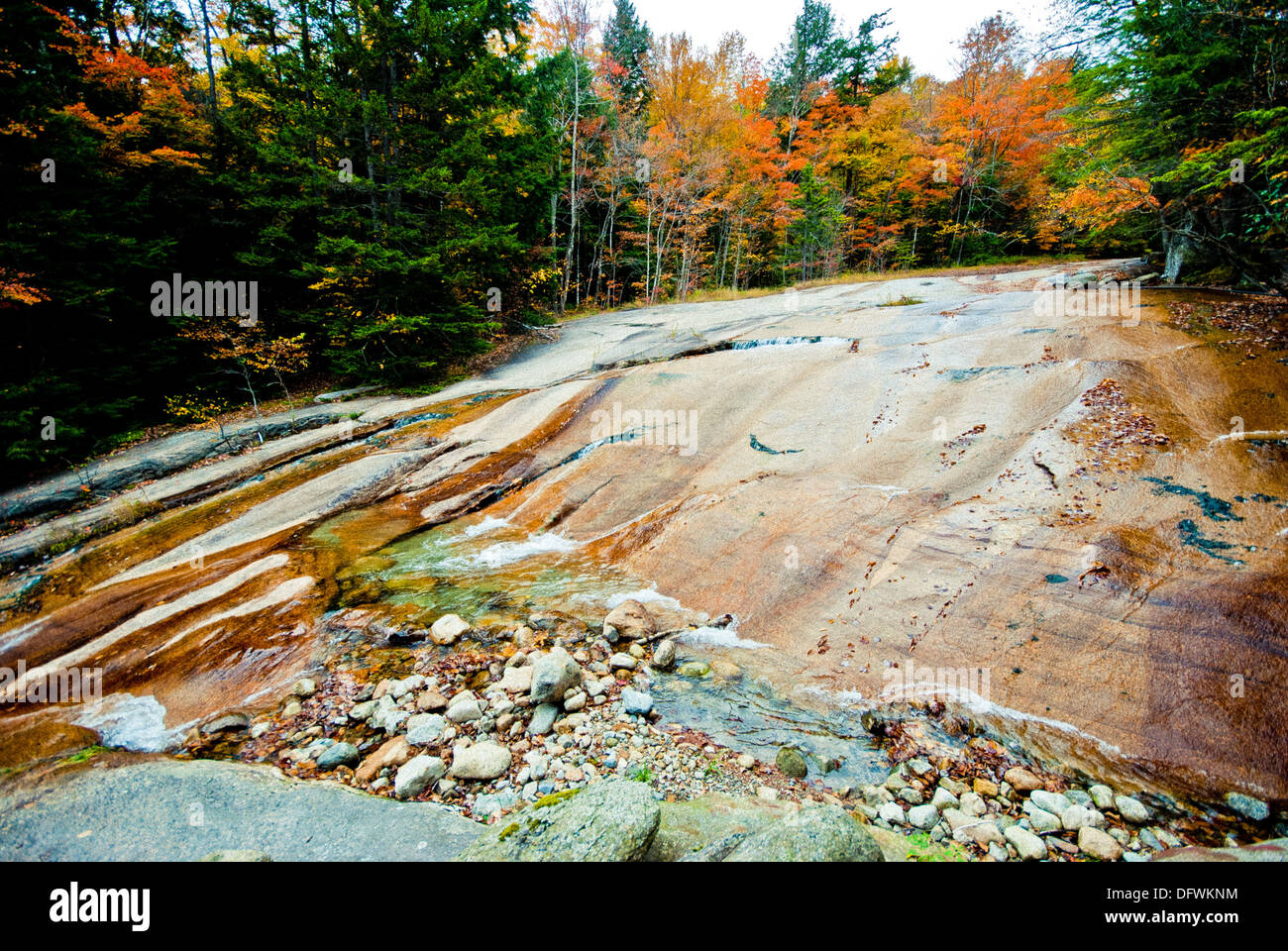 Flume gorge new hampshire hi-res stock photography and images - Alamy