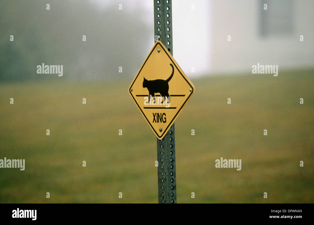 Cat crossing sign hi-res stock photography and images - Alamy