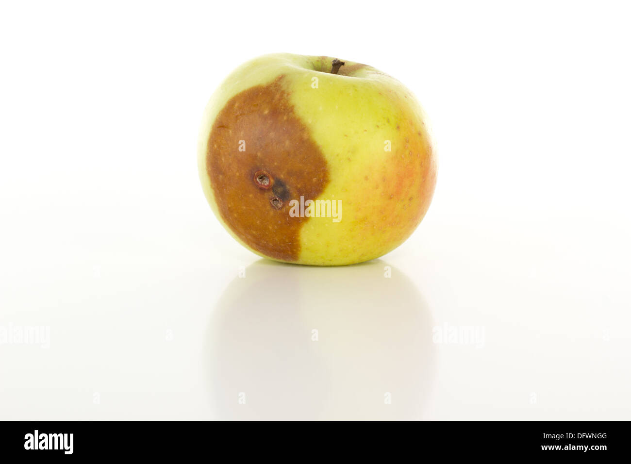 Rotten apple worm hi-res stock photography and images - Alamy
