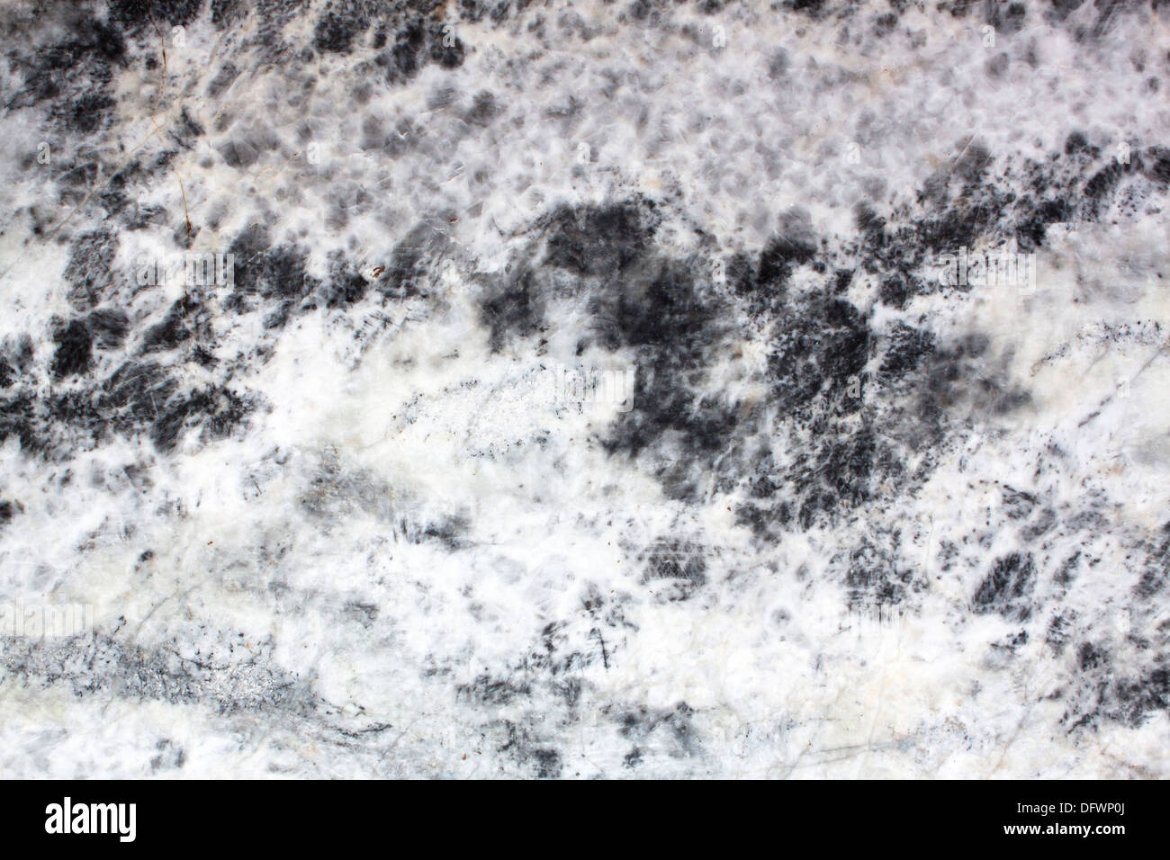 Surface of natural gray spotted stone as background Stock Photo - Alamy