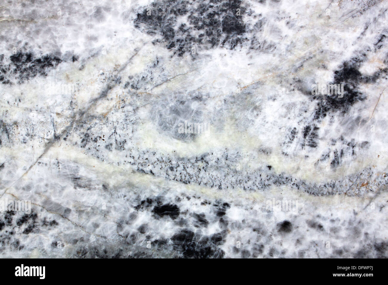 Surface of natural gray spotted stone as background Stock Photo - Alamy