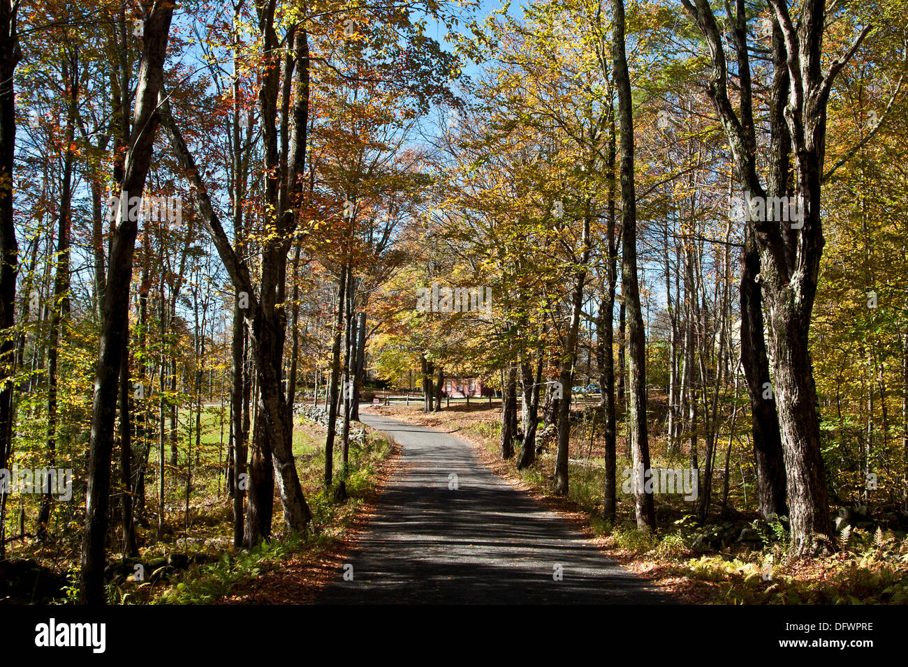 American maple street peak hi-res stock photography and images - Alamy