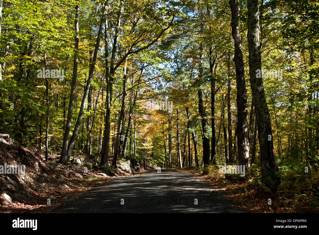 Fitzwilliam, New Hampshire, autumn; fall; travel; scenery; foliage ...