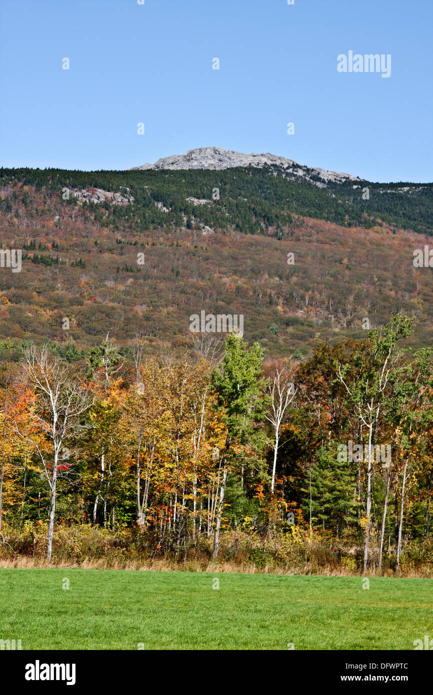 New england forests jaffrey hi-res stock photography and images - Alamy
