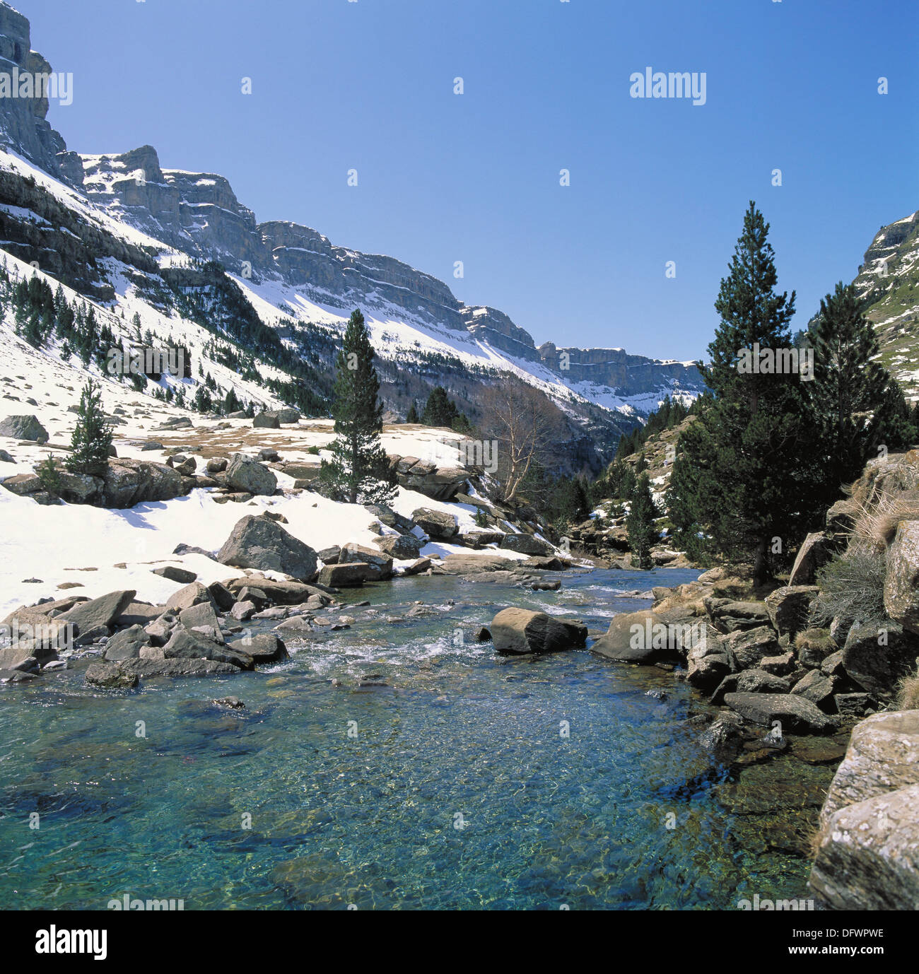 Pelay High Resolution Stock Photography and Images - Alamy