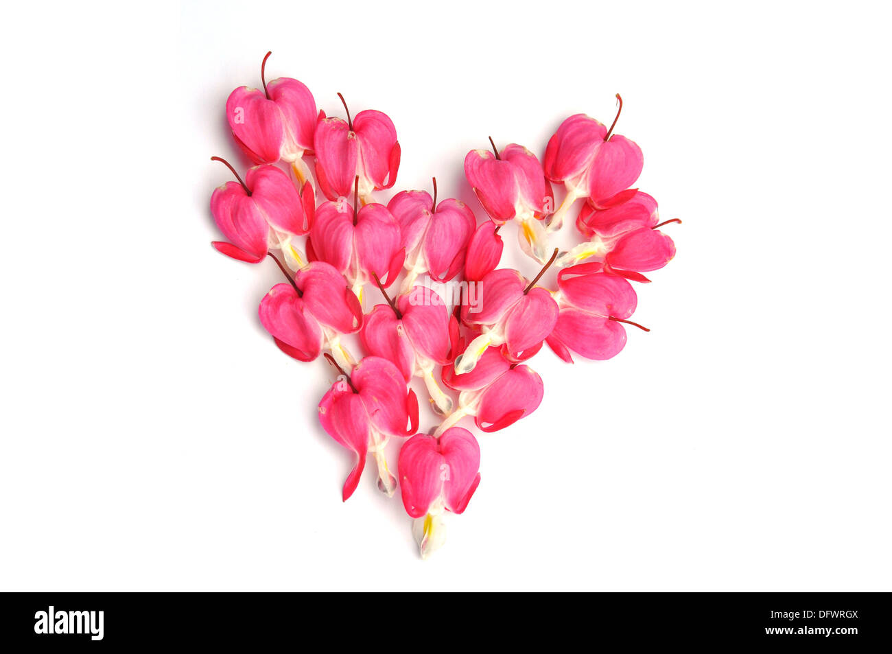 Heart made from flowers Cut Out Stock Images & Pictures - Alamy