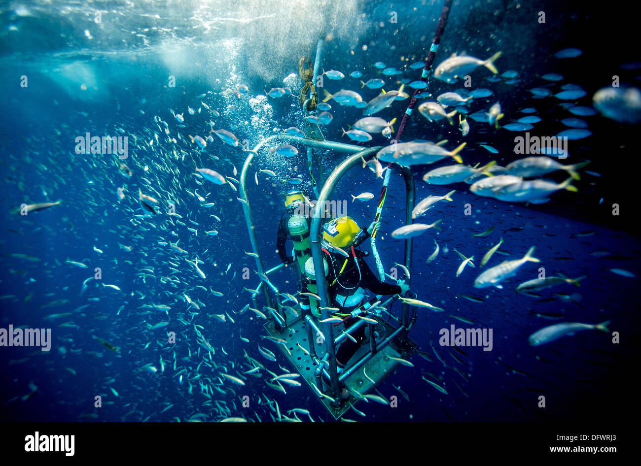 Navy divers hi-res stock photography and images - Alamy