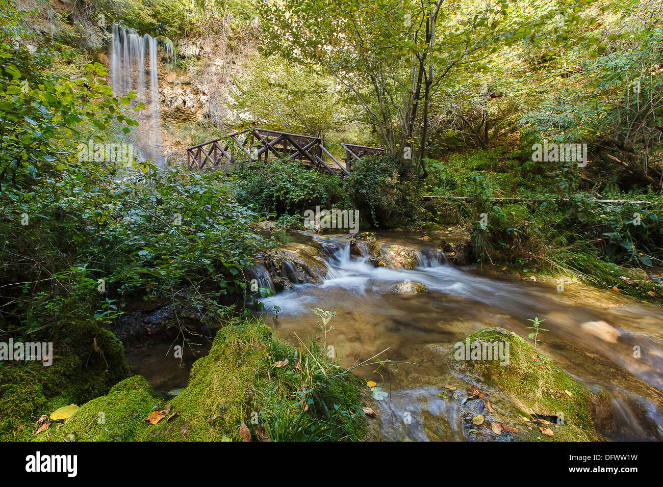 Lisine hi-res stock photography and images - Alamy