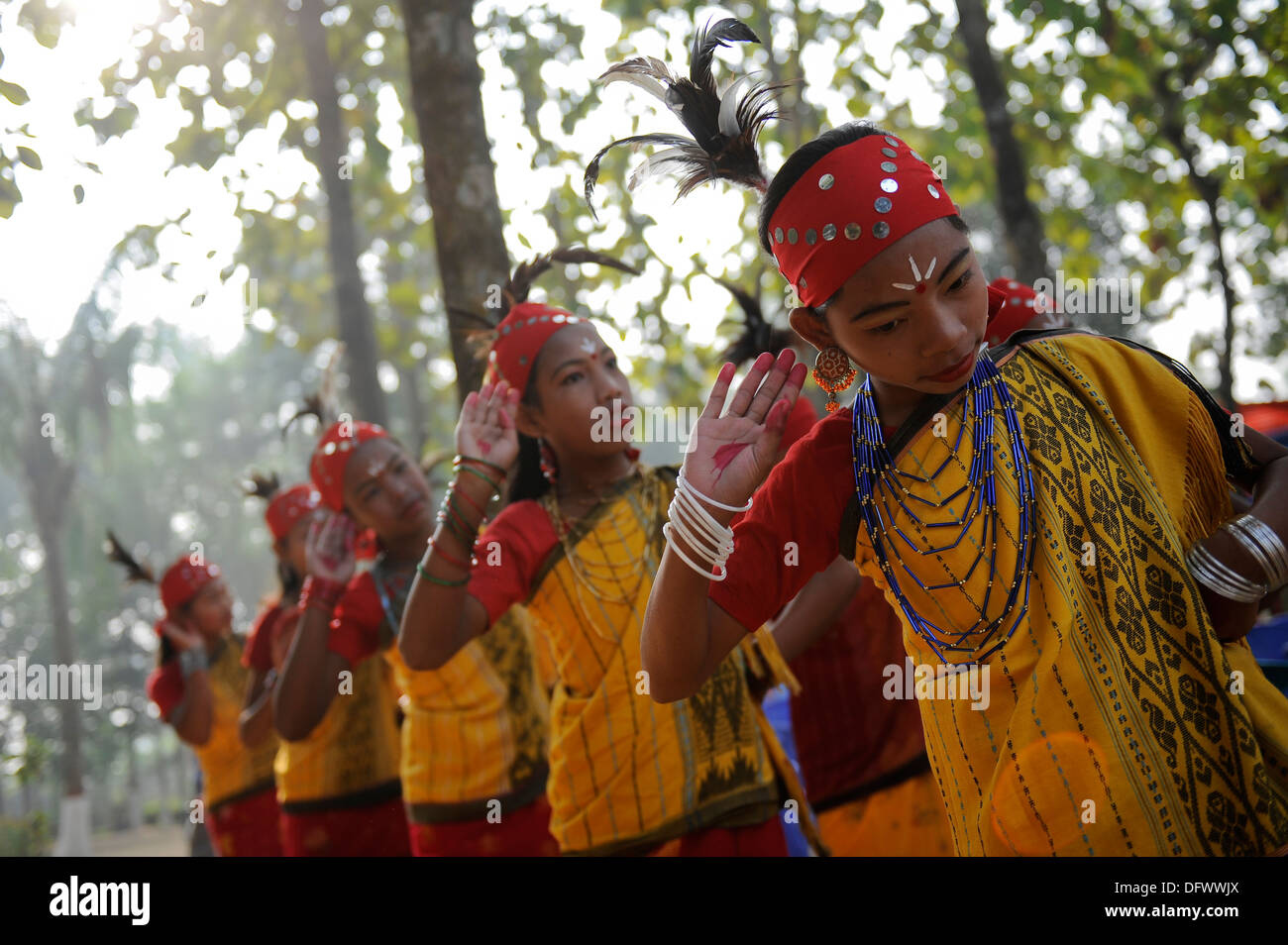 Bangladesh madhupur garo women harvest hi-res stock photography and ...