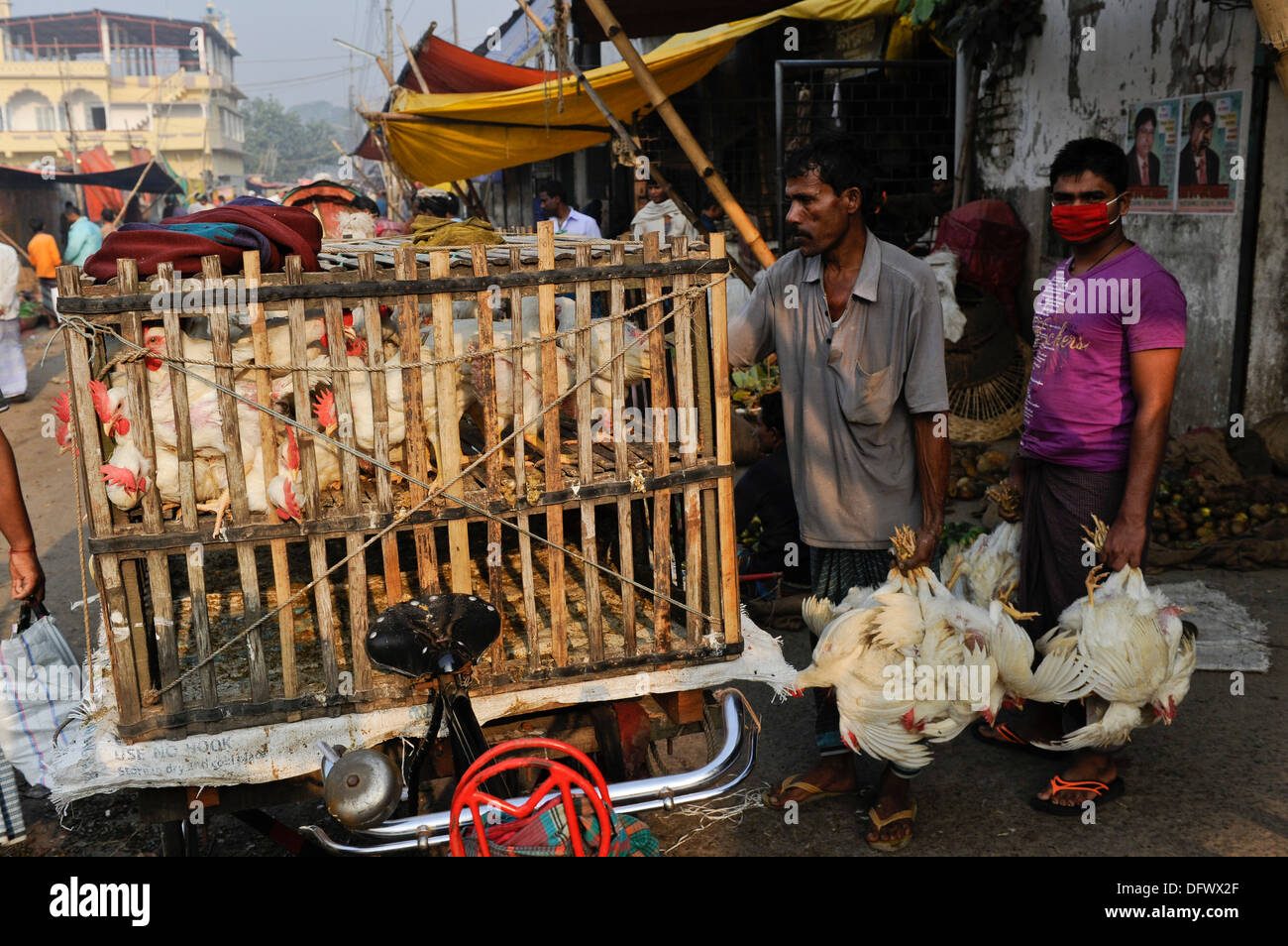 BANGLADESH Dhaka, mobile chicken shop on bicycle rickshaw Stock Photo ...