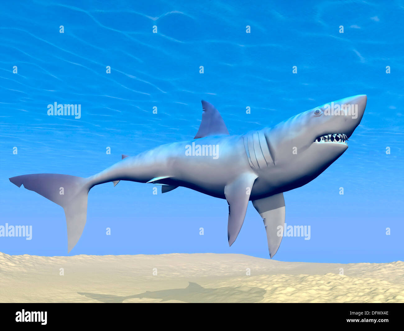 Shark swimming underwater with reflections of the sun Stock Photo - Alamy