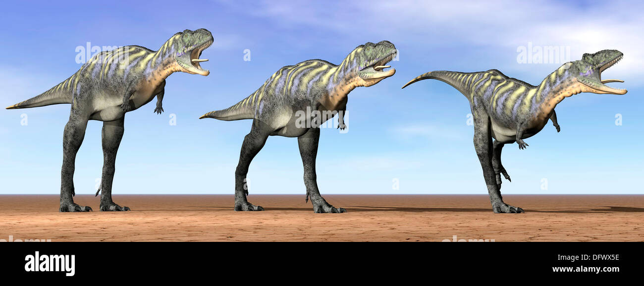 Three Aucasaurus dinosaurs standing in the desert by daylight Stock ...