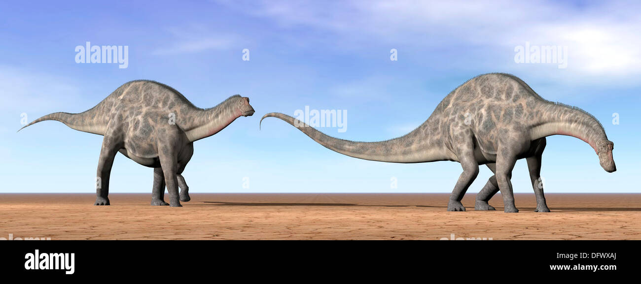 Two Dicraeosaurus dinosaurs walking in the desert by daylight Stock ...