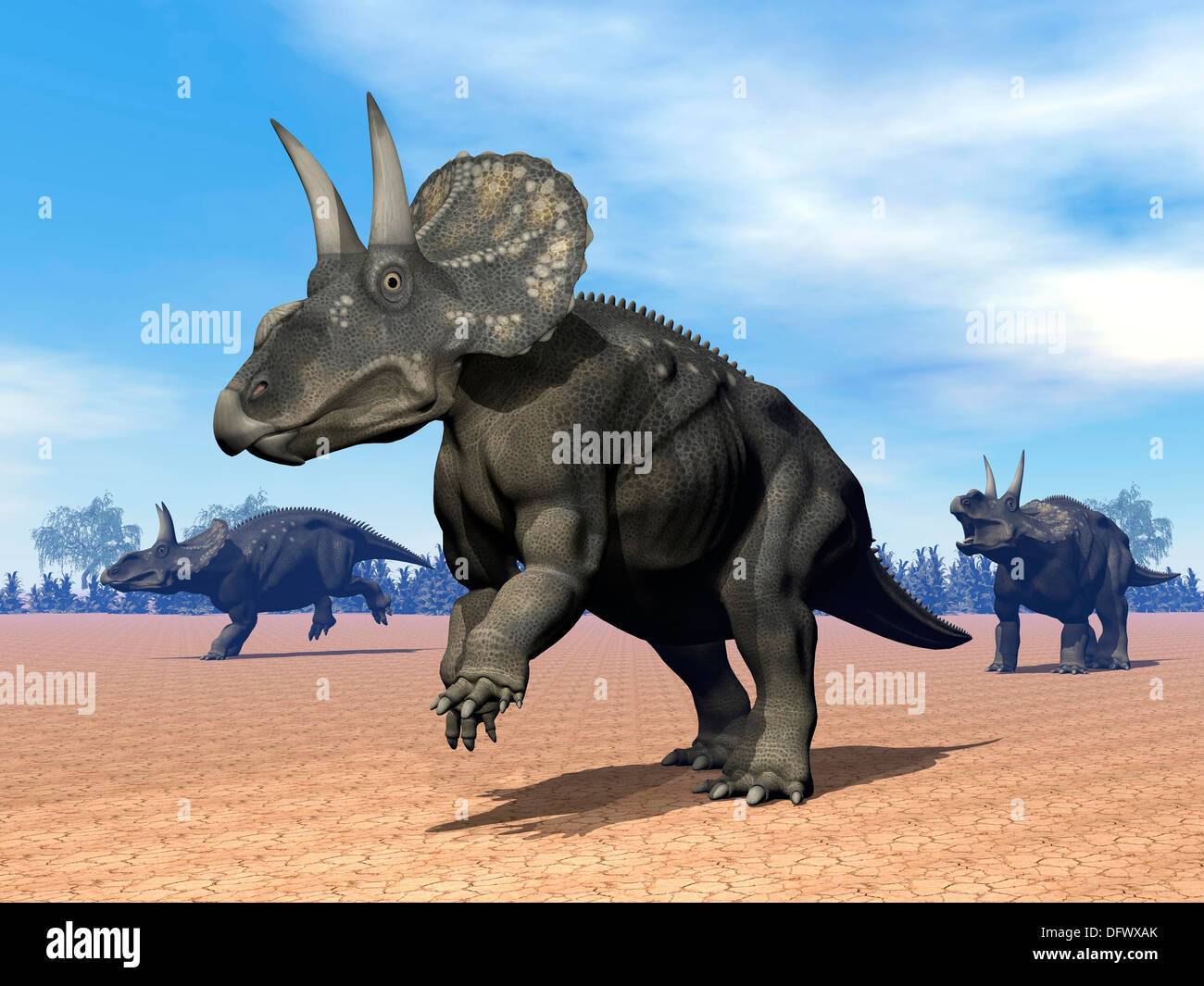 Nedoceratops hi-res stock photography and images - Alamy