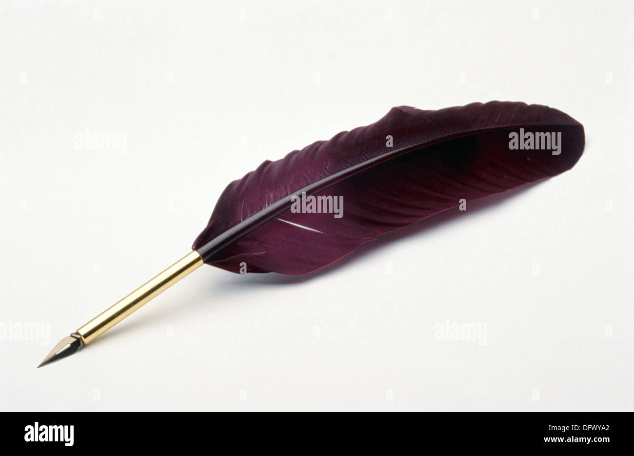 One Quill High Resolution Stock Photography and Images - Alamy