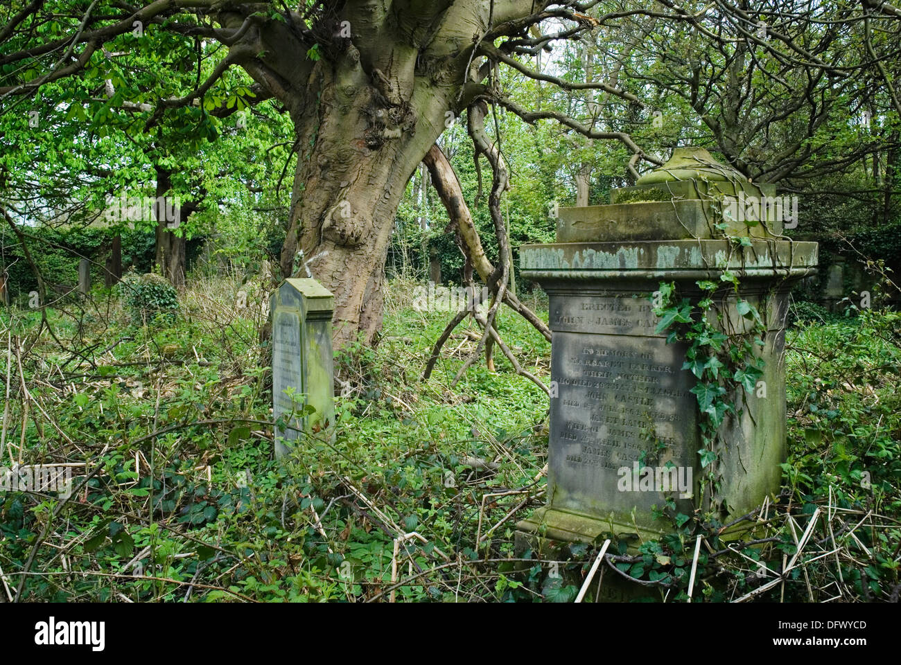 Warriston Cemetery, Edinburgh, Scotland, UK, Europe Stock Photo - Alamy
