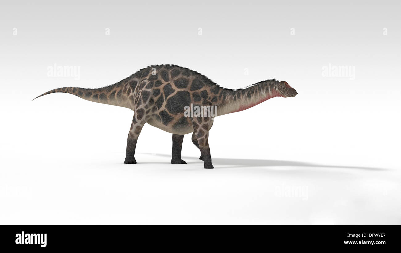 Dicraeosaurus dinosaur, white background Stock Photo - Alamy