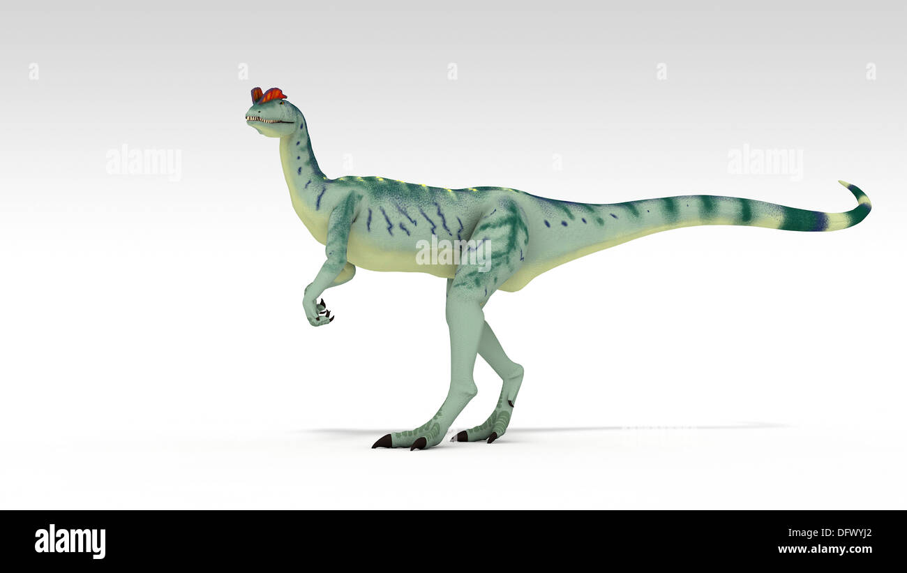 Dilophosaurus dinosaur, white background Stock Photo - Alamy